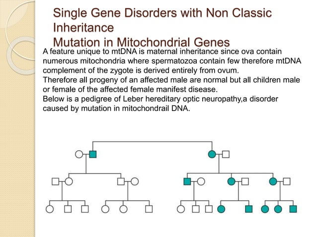 Mutation with transmission pattern of single gene disorder | PPTX