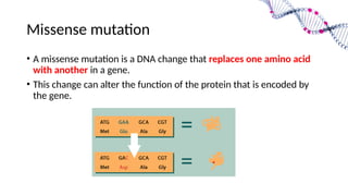 Mutation and its types (Point, Silent, Mis sense and Non sense ...