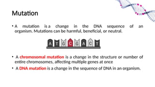 Mutation and its types (Point, Silent, Mis sense and Non sense ...