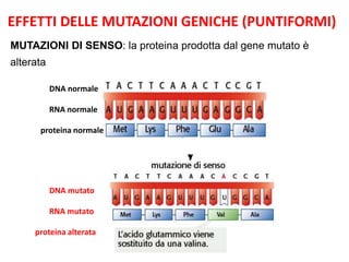 Mutazioni | PPTX