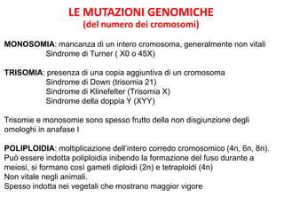 Mutazioni | PPTX