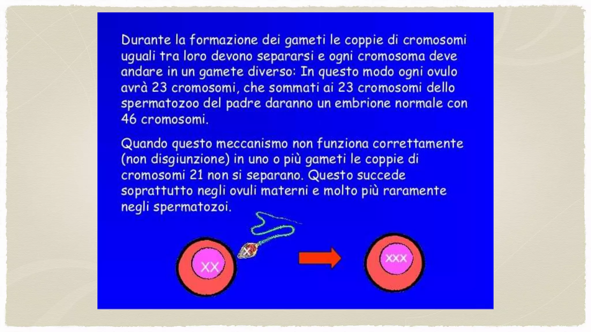Mutazioni genetiche e malattie ereditarie | PPTX