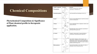 A comprehensive slide on Nigella Sativa (kalonji/cumin seeds | PPTX