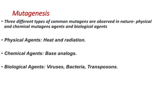 Mutegenesis | PPT