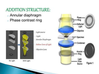 Phase contrast microscope | PPTX