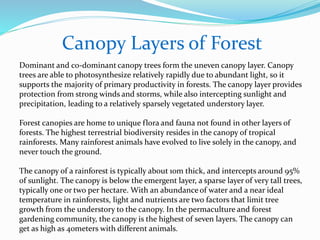 Muthu's Project-1.pdf
