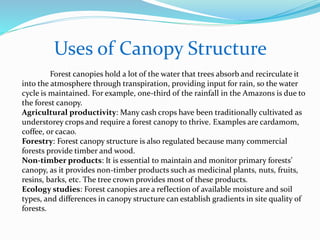 Muthu's Project-1.pdf