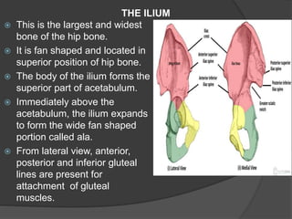 mutinta ndeleki.pptx