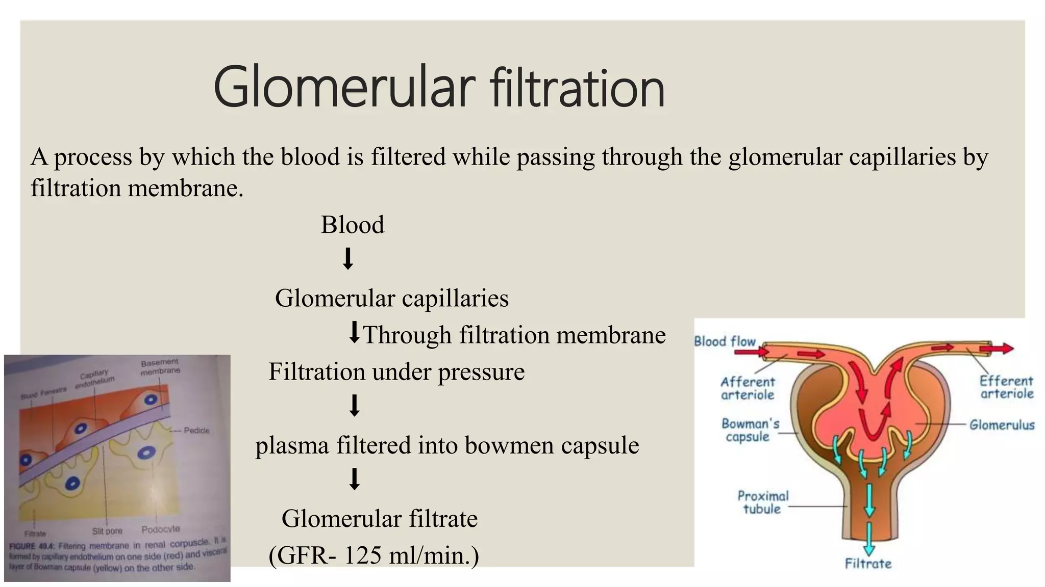 mutra vega dharan presentation ppt.pptx