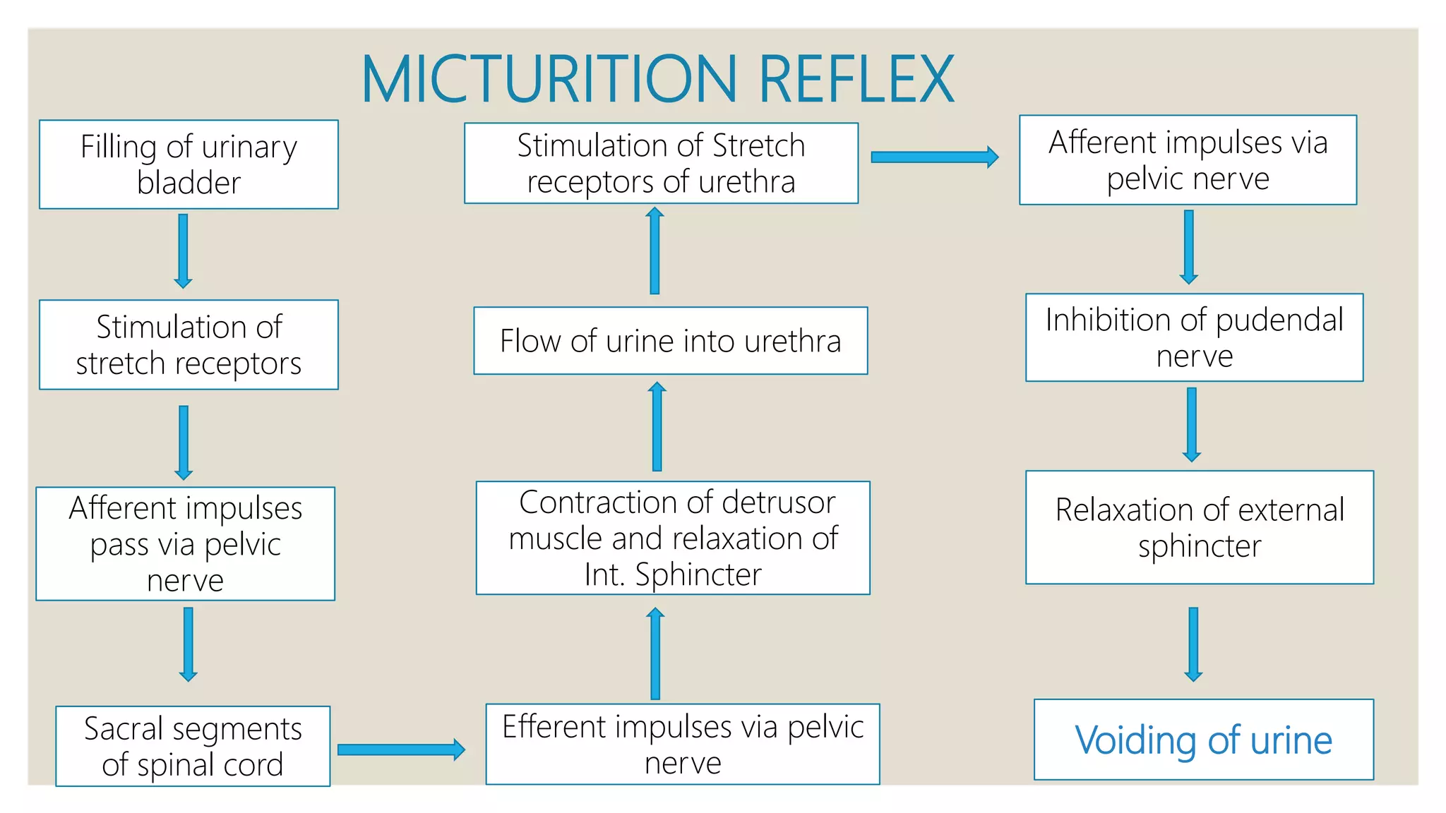 mutra vega dharan presentation ppt.pptx