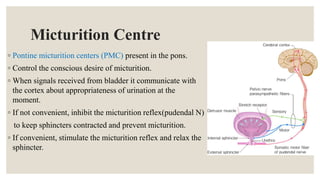 mutra vega dharan presentation ppt.pptx