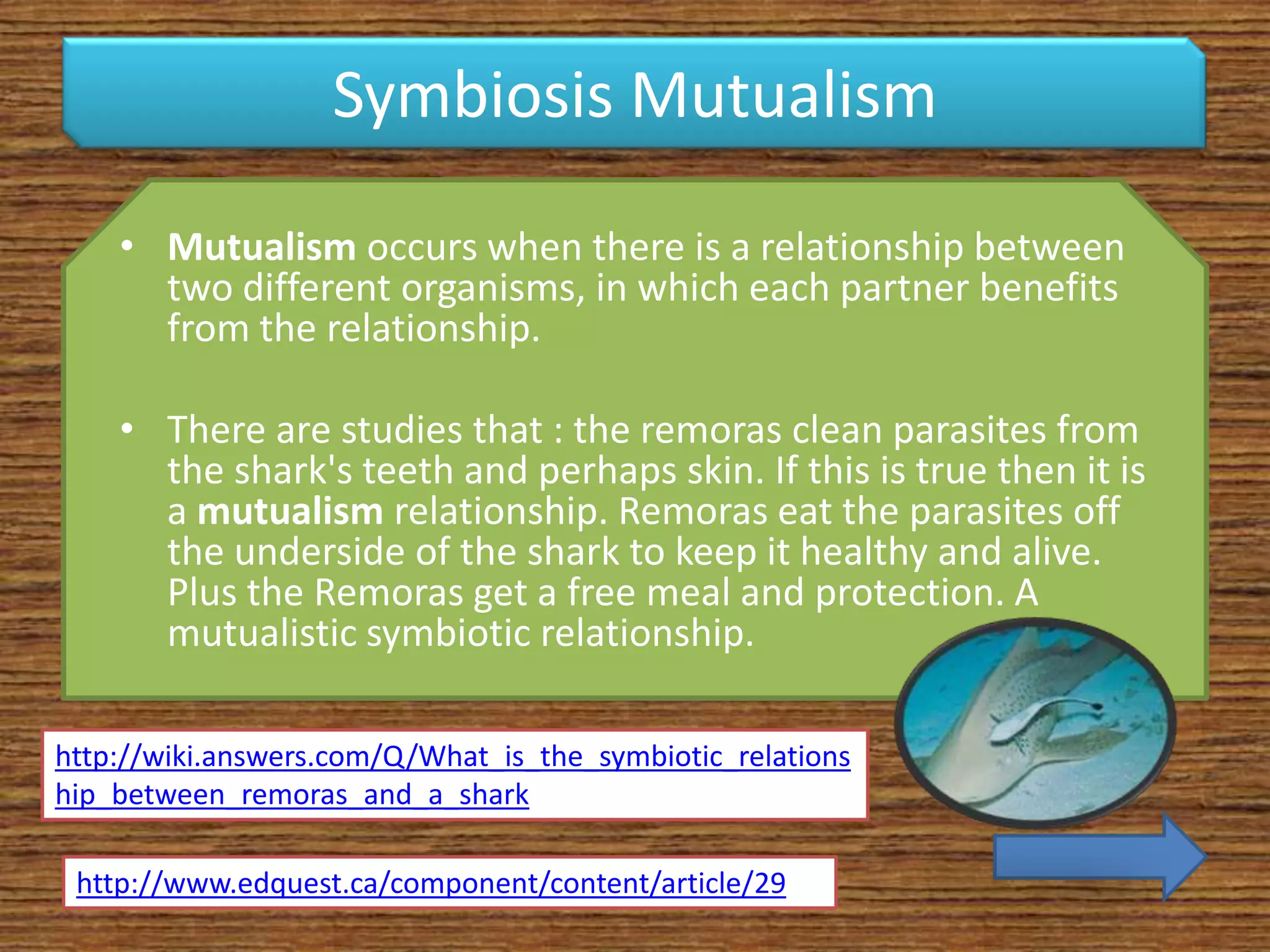 Mutualism | PPTX
