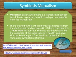 Mutualism | PPTX