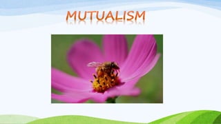 Mutualism Science