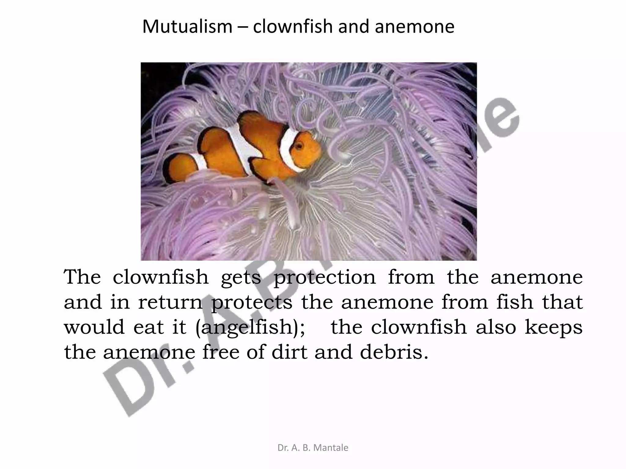 Mutualism | PPTX