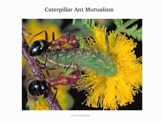 Mutualism | PPTX