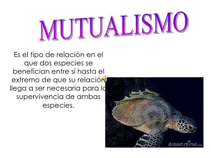 Mutualismo