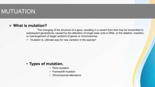 MUTUATION.pptx