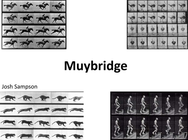 Muybridge | PPTX