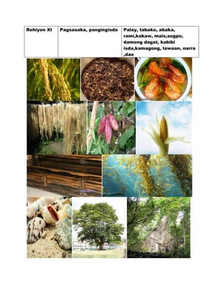 project in hekasi bawat rehiyon | DOCX