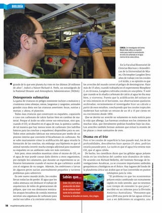 Muy interesante | PDF