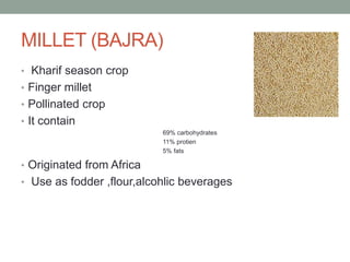 production technology of millet | PPTX