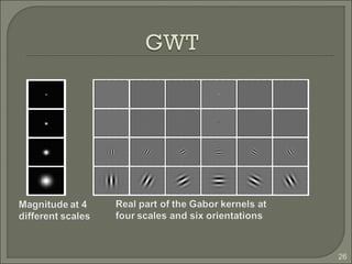 Muzammil Abdulrahman PPT On Gabor Wavelet Transform (GWT) Based Facial Expression Recognition ...