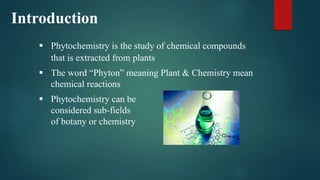 PHYTOCHEMISTRY SEMINAR | PPTX