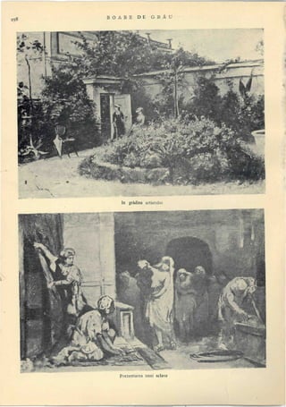 Muzeul Aman | PDF