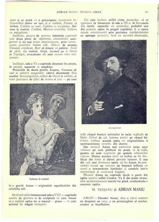 Muzeul Aman | PDF
