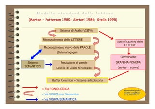 Muzio dislessia dsa v | PDF
