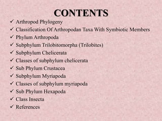 arthropod phylogeny and classification | PPT