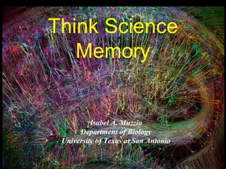 Think Science: Memory - Dr. Isabel Muzzio | PPT
