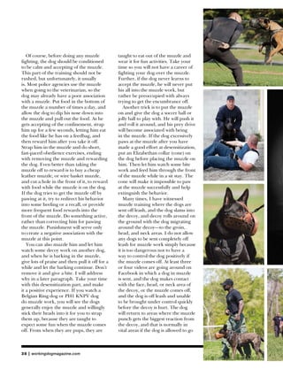 Muzzle Training for Police Patrol Canines | PDF