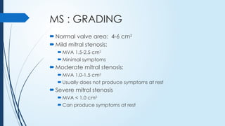 "Mitral Valve Disease: Pathophysiology, Diagnosis, and Treatment ...