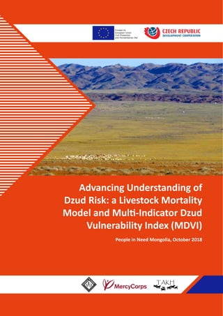 Mvdi report en | PDF