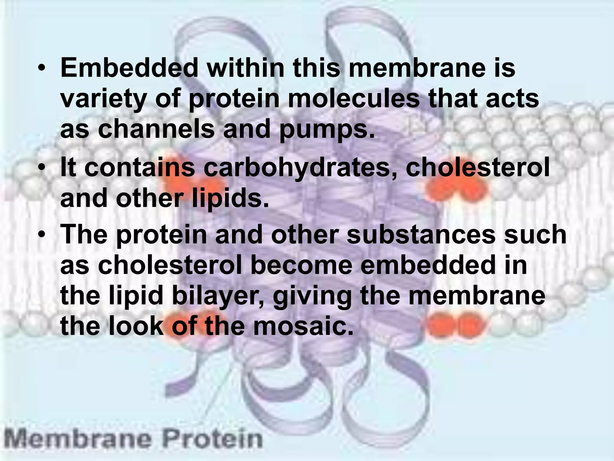 MV MLT 102 UNIT 1-STRUCTURE AND FUCTION OF CELL MEMBRANE.pptx