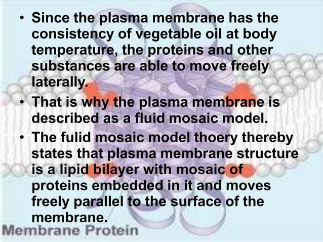 MV MLT 102 UNIT 1-STRUCTURE AND FUCTION OF CELL MEMBRANE.pptx