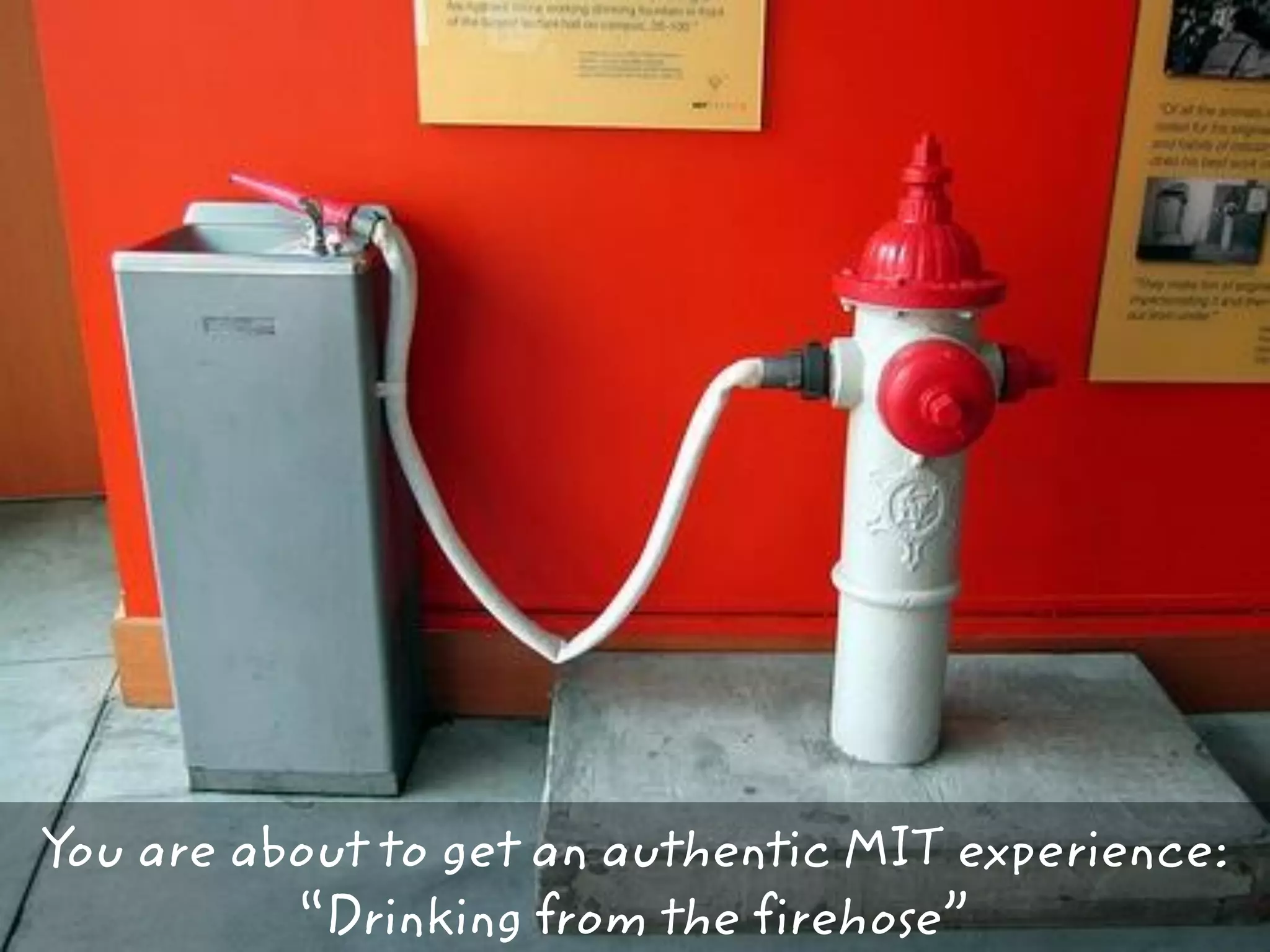 Minimum Viable Product (MVP) Testing | PDF