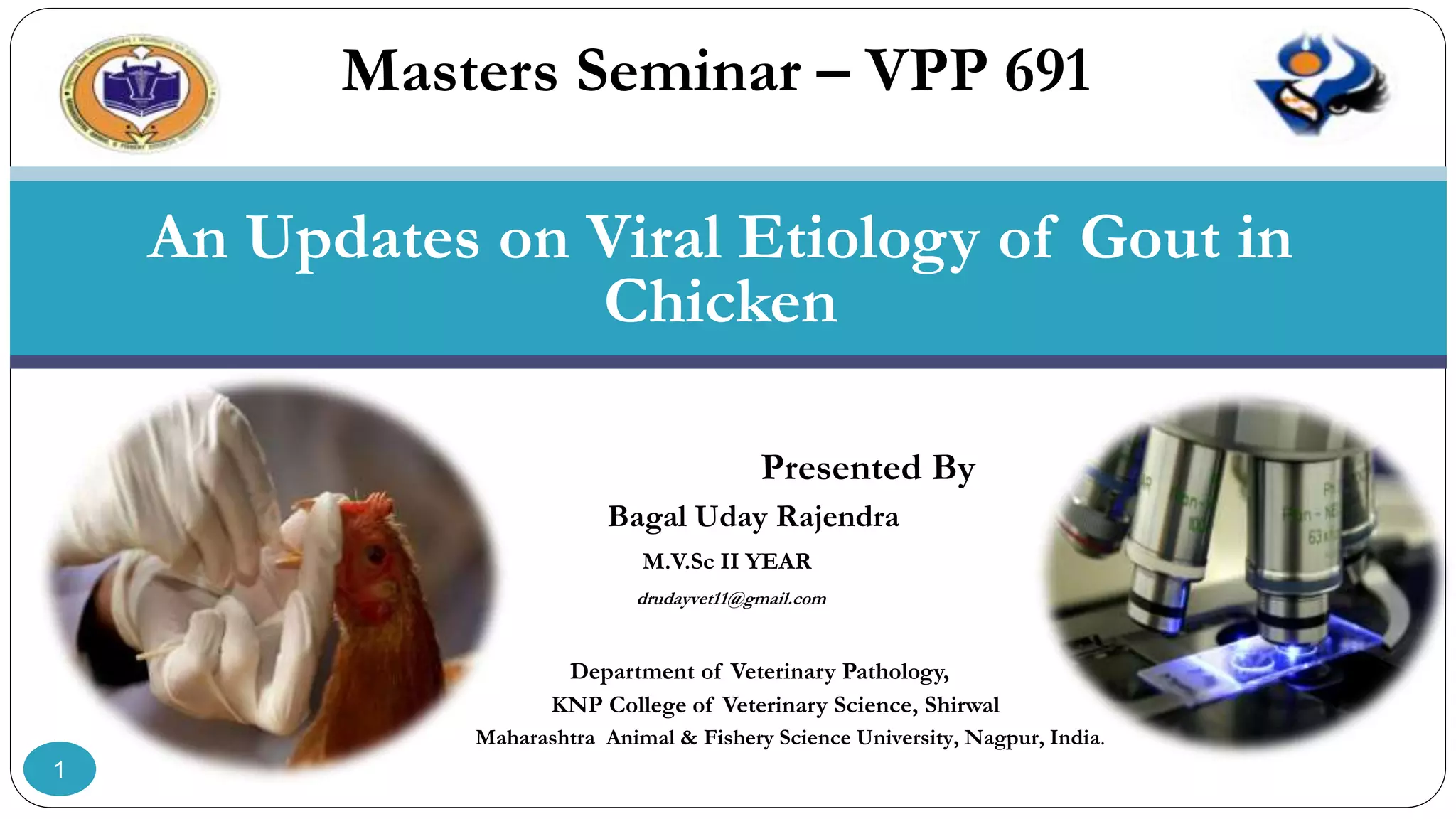 Viral Etiology of gout in chicken | PPTX