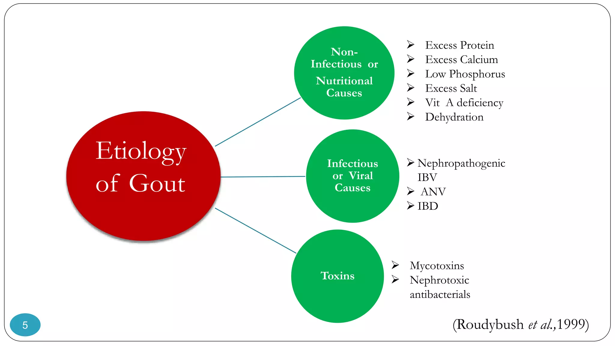 Viral Etiology of gout in chicken | PPTX