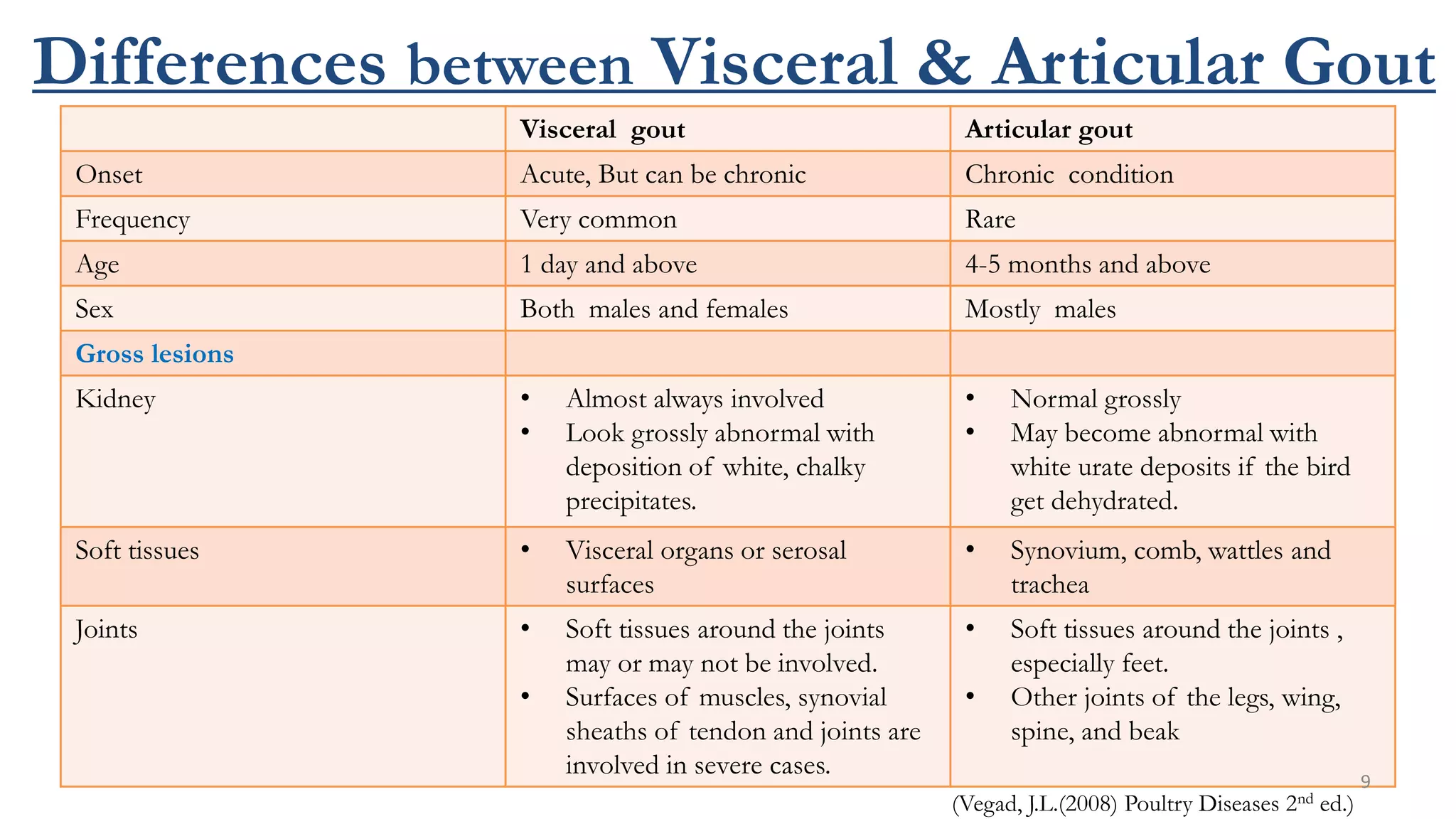 Viral Etiology of gout in chicken | PPTX