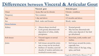 Viral Etiology of gout in chicken | PPTX