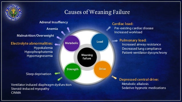Mvss part v weaning & liberation from mechanical ventilation