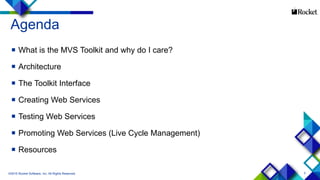 D3 MVS Toolkit | PDF