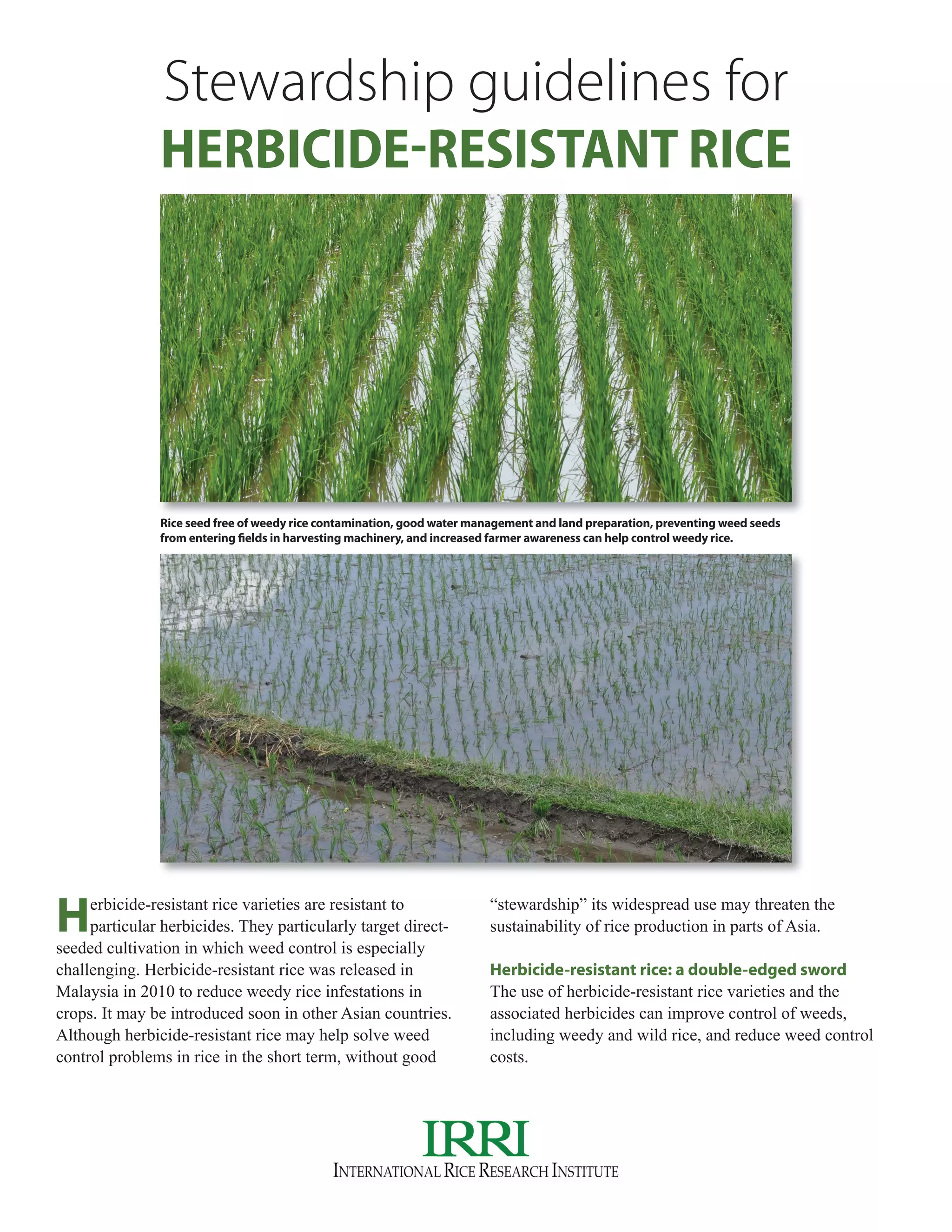 Stewardship guidelines for Herbicide-resistant rice | PDF