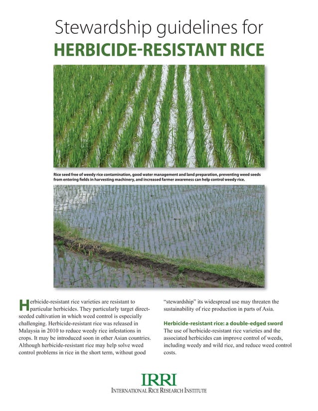 Stewardship guidelines for Herbicide-resistant rice | PDF