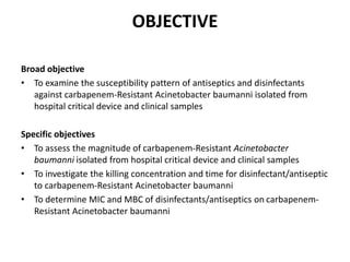 ACINETOBACTER ISOLATES | PPTX | Infectious Diseases | Diseases and ...