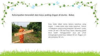 MWHB-PROPOSAL PERLADANGAN BALSA-FINAL.pdf