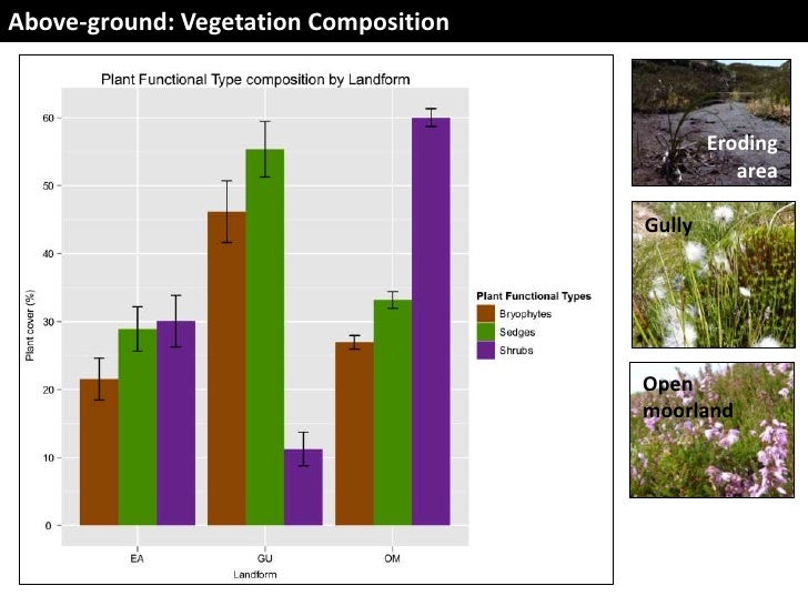 Peatland Diversity and Carbon Dynamics - BES 2011